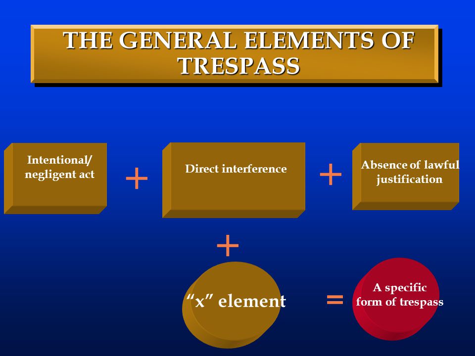 LAW OF TRESPASS TO GOODS | The Lawyers & Jurists