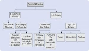 WHAT IS FREEHOLD ESTATE | The Lawyers & Jurists
